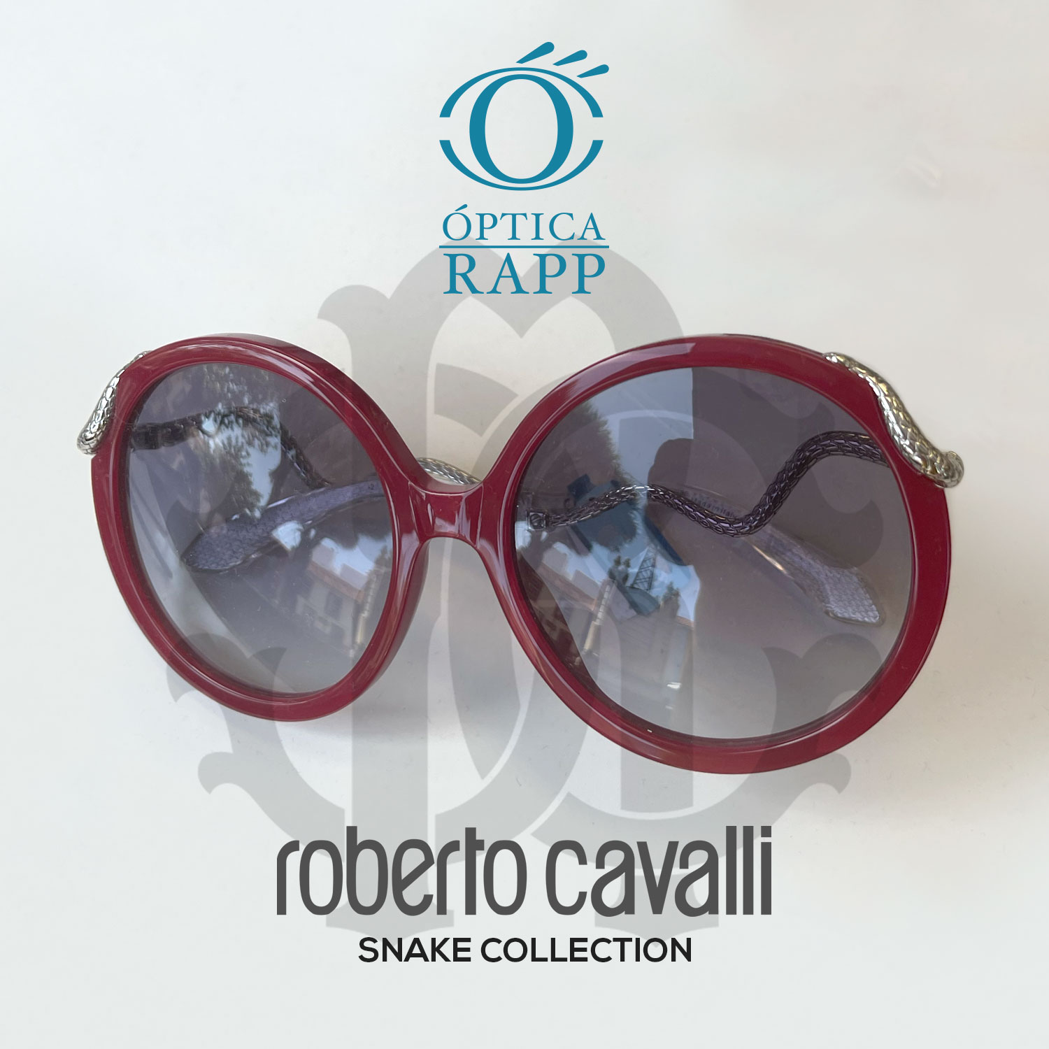 Roberto Cavalli – Óptica Rapp